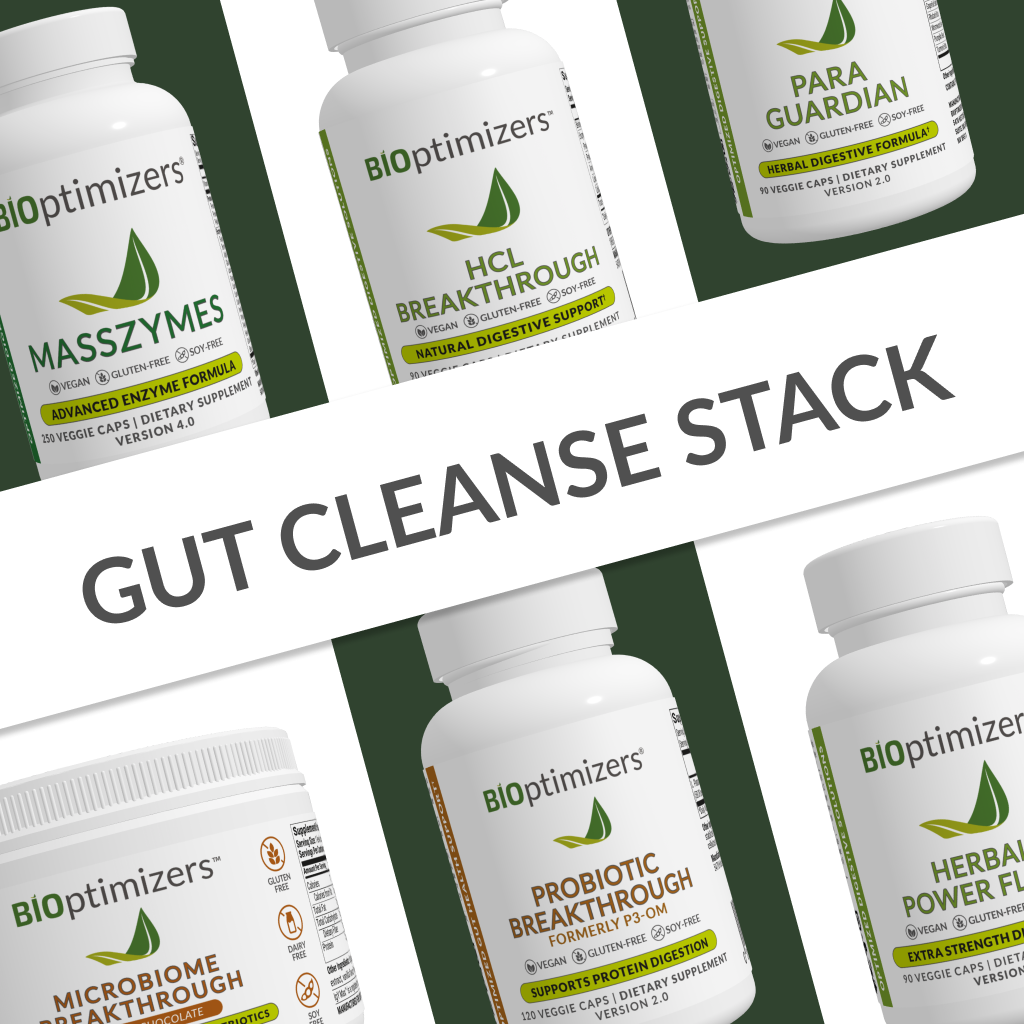 The Ultimate 90-Day Healthy Gut Reboot | BIOptimizers